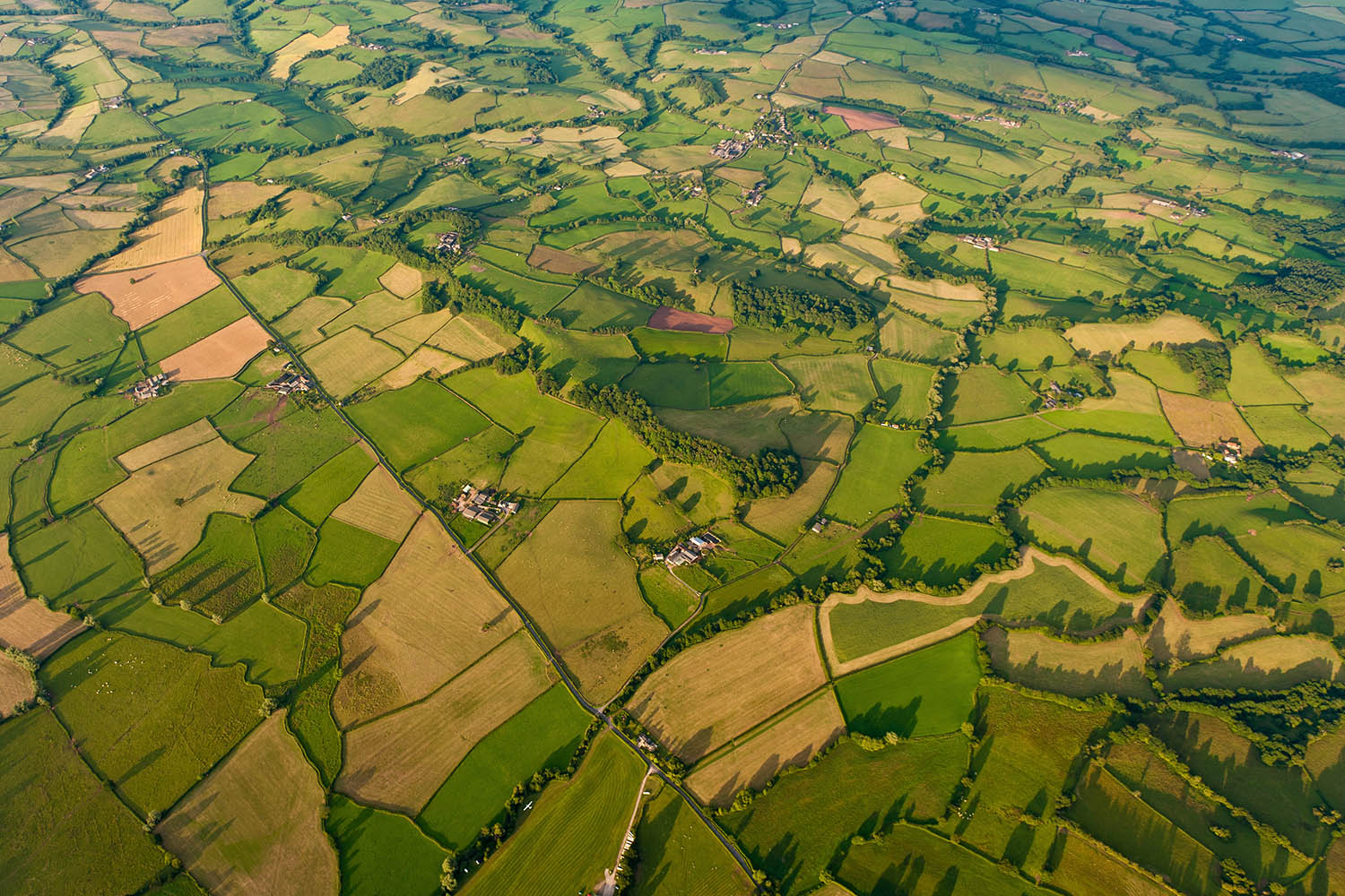 Land Power, by Michael Albertus